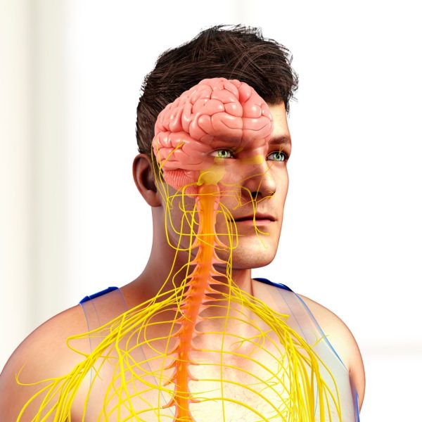 Neural Therapy - The Karlfeldt Center