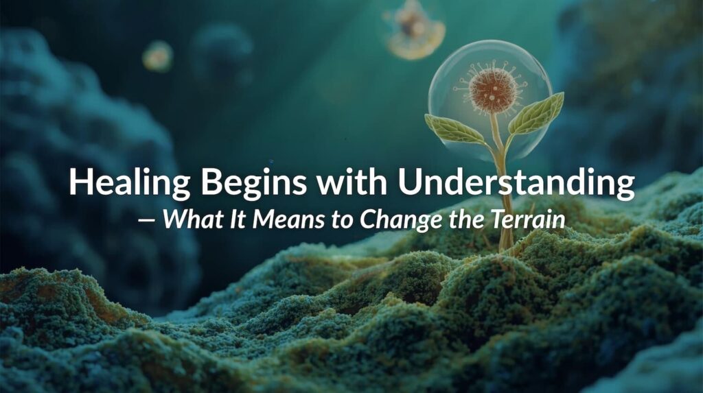 Healing Begins with Understanding — What It Means to Change the Terrain ...