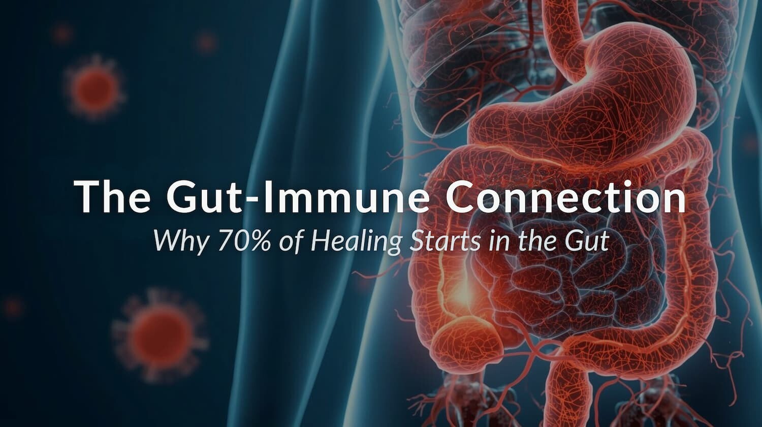 The Gut-Immune Connection: Why 70% of Healing Starts in the Gut - The ...